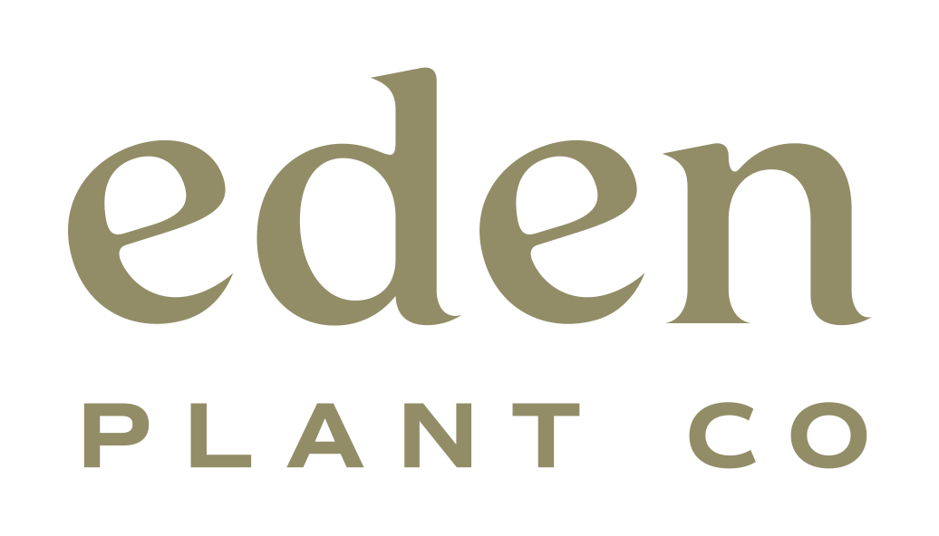 Houston's Plants + Coffee Shop | Eden Plant Co